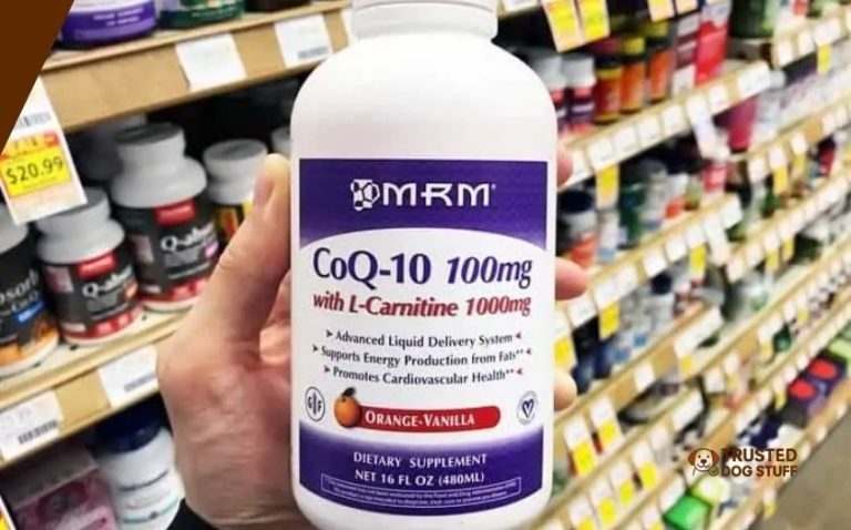 12 Best Coq10 For Dogs To Buy In 2026 - TrustedDogStuff