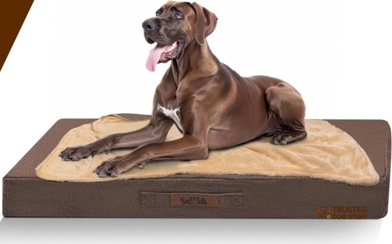 Top 10 Best Dog Beds For Great Danes 2026, According to Experts ...