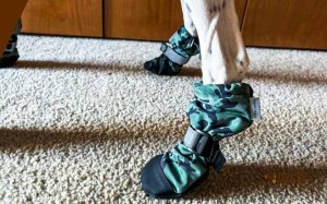 The 10 Best Dog Boots For Knuckling (2026), Tested and Reviewed ...