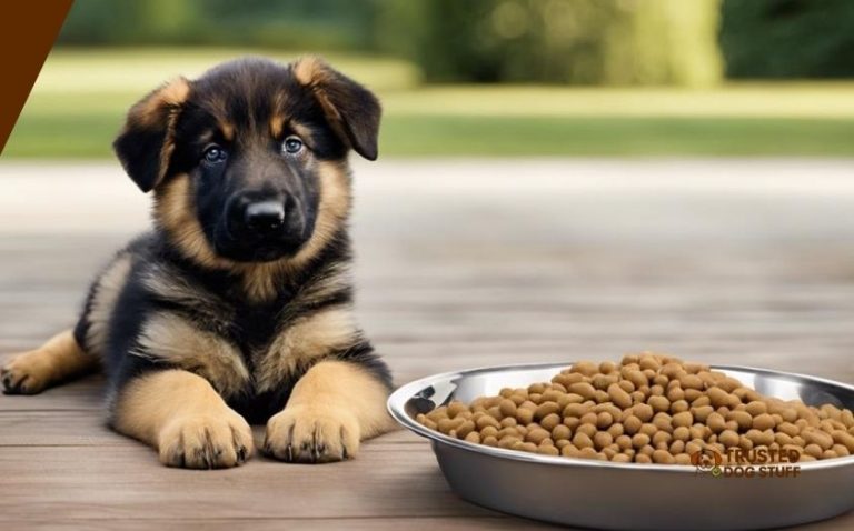 Top 9 Best Canned Dog Foods For German Shepherds In 2026 - TrustedDogStuff