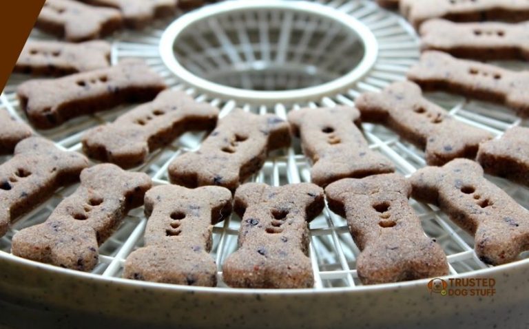 Our 10 Best Dehydrators For Dog Treats 2026, According to Experts ...