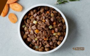 Our 10 Best Dog Foods For Pancreatitis To Buy In 2026 - TrustedDogStuff