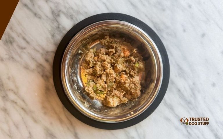 Our 9 Best Inexpensive Dog Foods For Small Breeds In 2026 – Reviews And ...